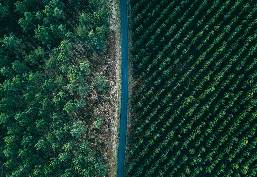 Descubre los destinos de las Landas